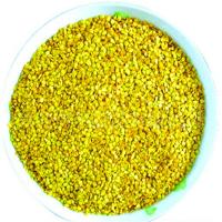 China SHU5000 Dried Chilli Seeds Hybrid Granule For Cooking Pungent Flavor for sale