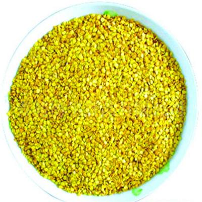 China SHU5000 Dried Chilli Seeds Hybrid Granule For Cooking Pungent Flavor for sale