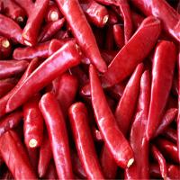 China Zero Additive Erjingtiao Dried Chilis Pungent Dehydrated Hot Peppers for sale