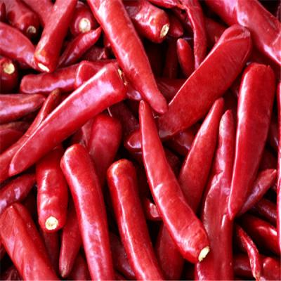 China Zero Additive Erjingtiao Dried Chilis Pungent Dehydrated Hot Peppers for sale