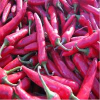 China Erjingtiao Pepper Ingredients Chili Peppers Hot 8000-12000shu for Customer Requirements for sale