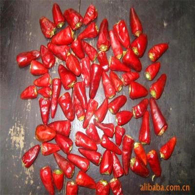 China Dark Red Air Dried Bullet Chili (20 000-30 000 SHU) for sale