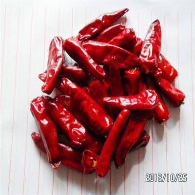 China Air Dried Red Bullet Chilli Dark Red Colour With Hat For Kitchen Essentials for sale