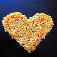 China A Grade F1 Hybrid Chilli Seeds Sweet Paprika Pepper 15000SHU for sale