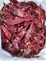 China Spicy Dried Yidu Red Chili Peppers Dry Cool Place for sale