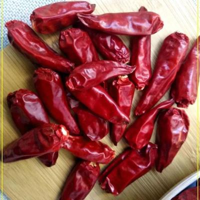 China Mild Vacuum Sealed Dried Paprika Chilies 10Cm High In Vitamin C Impurity 1%Max for sale