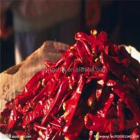 China Rich In Vitamin C Spicy Yidu Chili Perfect Taste  5000shu for sale