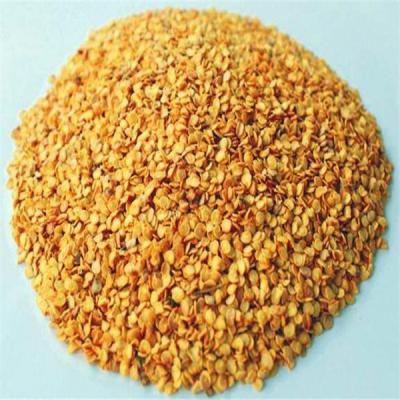 China Red Facing Heaven Chili Seeds 5000 SHU Hot Small Size for sale