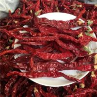 China 4 - 7cm Dried Red Chilli Peppers 99% Pure In Cool And Dry Place 50000 SHU for sale