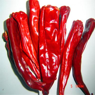 China 99% Purity Dried Red Chilli Peppers Stemless 10kg/25kg Bag Weight for sale