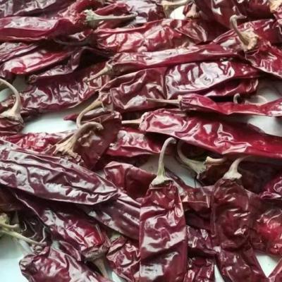 China 8000-12000shu Sweet Paprika Hot Pepper Smooth Texture High Vitamin C for sale