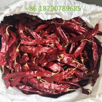 China Smoky Red Paprika Dried Chilies From Spain For Cooking And Flavoring for sale