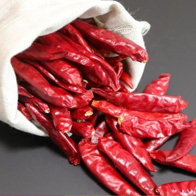 China Strong Pungent Dried Red Chilli Peppers Cool Dry Place Storage Conditions for sale