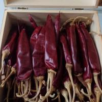 China 4-7cm Hot Chilli For Hot Pot / Sichuan Cuisine Hot Pungency 25kg/Bag for sale
