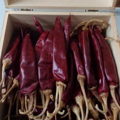 China 4-7cm Hot Chilli For Hot Pot / Sichuan Cuisine Hot Pungency 25kg/Bag for sale