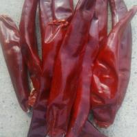 China 8% Moisture Chilli Ring Cut Strong Pungent Chilli Flavor High Polished 0.5 - 1.5cm for sale