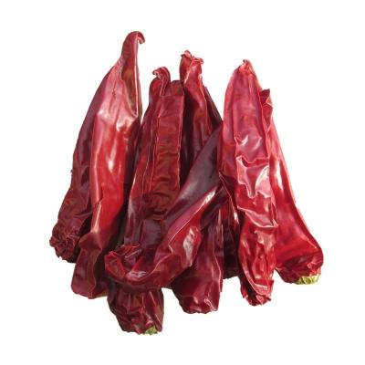 China HACCP 0.5 - 1.5cm Chilli Ring High Polished Pungent Chilli Flavor 20KG/CTN for sale