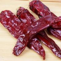 China Moisture 10 Red Bell Pepper Versatile and Flavorful for Your Kitchen for sale