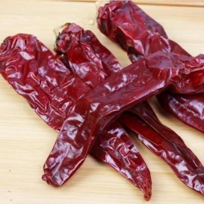 China Moisture 10 Red Bell Pepper Versatile and Flavorful for Your Kitchen for sale