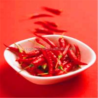 China Red Chili  Fine Texture Pepper Powder 100g Rich In Vitamin C for sale