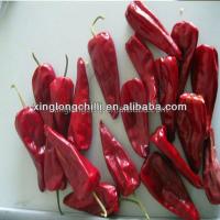China Crushed Red Chilli Pepper Powder Spicy Dry Cool Place Storage for sale