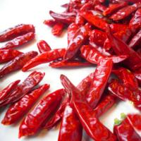 China Xinglong 100g Spicy Tianjin Dried Red Chilies Room Temperature for sale