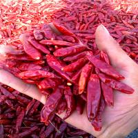 China 4-7cm Crushed Chilli Peppers Bold Spice In Convenient 25kg/Ctn for sale