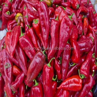 China 5 - 8 Mesh Dried Red Chili Hotness 500-50000shu Spicy Hot Dehydrated for sale