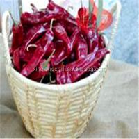 China Nutrition-Packed Yidu Chili Calcium-Enhanced Hot Spice 100 Kcal/100g 800shu for sale