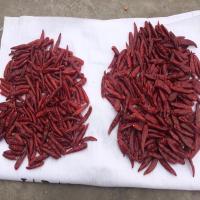 China Small Tianjin Red Chilies For Room Temperature - Bag Packaging for sale