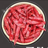 China Halal 4-7cm Red Dried Chilli With Cool And Dry Place For Hot Pot for sale