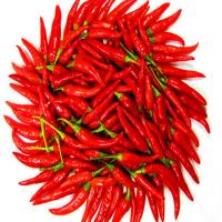 China Power Packed Flavor Cayenne Chili Pepper 90000 SHU Of Sichuan Cuisine With Red for sale