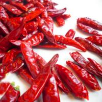 China Halal Stemless Dried Red Chilli Peppers With 14%Max Moisture - Cool And Dry Place for sale