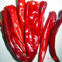 China Hot Pot / Sichuan Cuisine Must-Have Dried Red Chilli Peppers With Strong Pungent Flavor for sale