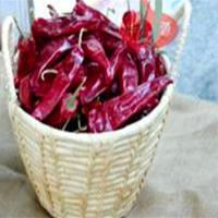 China Dry And Cool Place Storage Method Maintains Nutrient Value Of Mild Dried Red Chilies for sale