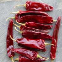 China Grade A Dried Guajillo Chili Smooth And Leathery Texture Strong Pungent Chilli Flavor for sale