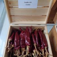 China Smooth And Leathery Guajillo Chili Peppers 10-15cm Red Paprika 25KG for sale