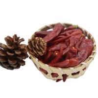 China Packaging 25KG Dried Guajillo Chili With Strong Pungent Chilli Flavor 10-15cm for sale