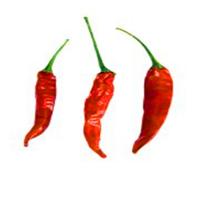 China Delight Unit Dried Red Chilli Peppers 4-7cm Weight 25kg/Bag Stemless for sale