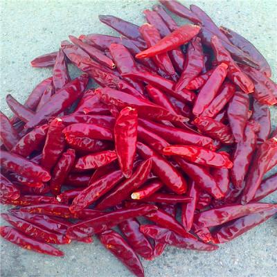 China HACCP Chinese Dried Chili Peppers Nutrition Facts High In Vitamin C Length 4-14 Cm for sale