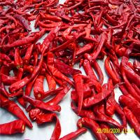 China Spicy Chinese Dried Red Chili Peppers With As Ingredients for sale