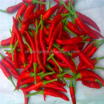 China High In Vitamin C Dried Chili Peppers Nutrition Facts for sale
