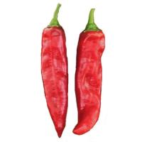 China Dried Red Chilli Peppers Enhance Your Business With Red Power And 1% Impurity for sale