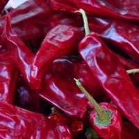 China Air Dried Dried Red Chilli Peppers For Spicy Hot Pot And Sichuan Cuisine for sale