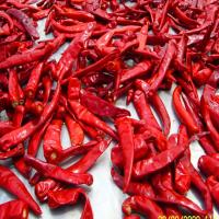 China 10kg Unit Weight Chilli With Moisture Content Of 12%Max for sale
