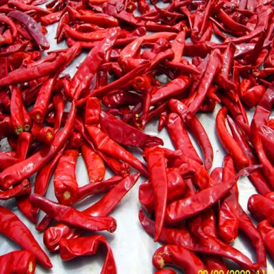 China 10kg Unit Weight Chilli With Moisture Content Of 12%Max for sale