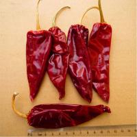 China Vitamin A Nutrition And Chili Ingredients In Mild Dried Red Chilies for sale