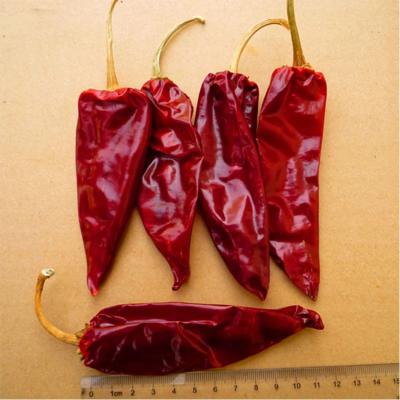 China Vitamin A Nutrition And Chili Ingredients In Mild Dried Red Chilies for sale