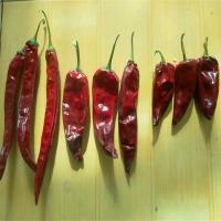 China 500 SHU Heat Yidu Chili Hot And Spicy Ingredients Wholesale for sale