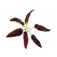 China Yidu Chili Dry And Cool Place 500 SHU Trusted By Worldwide for sale